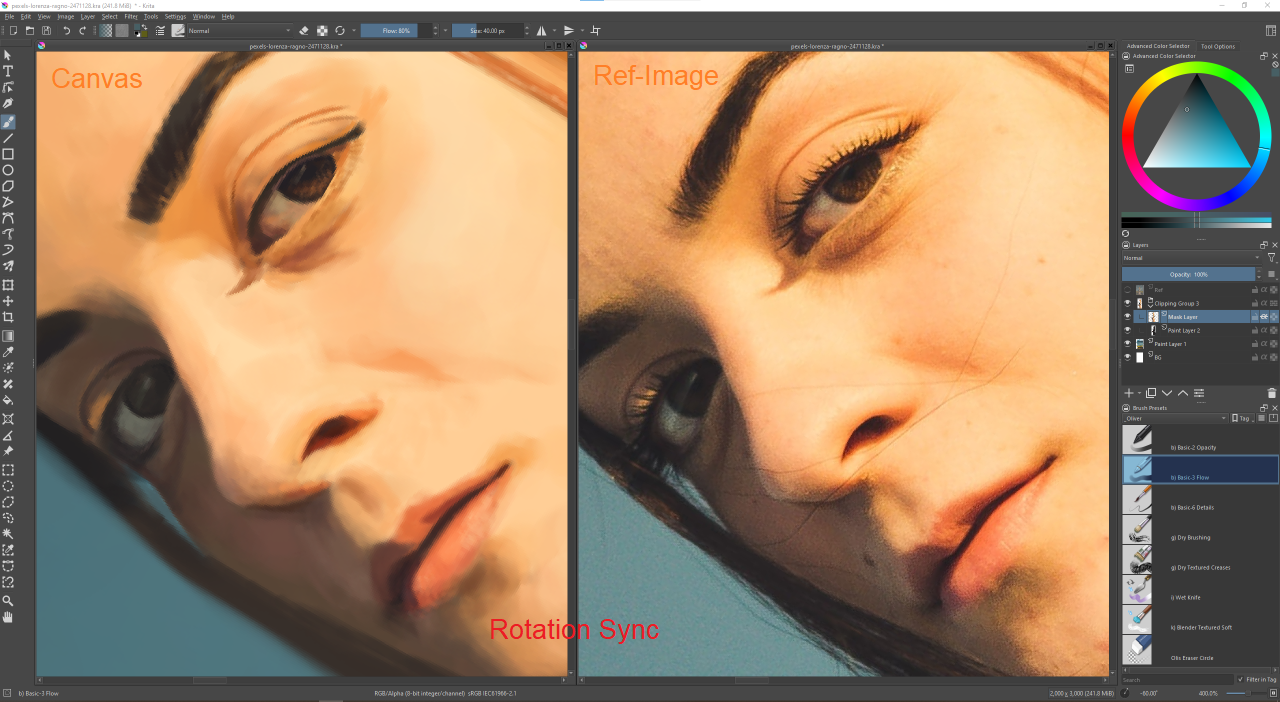 Sight-Size-Sync: Synchronize Reference Image with Canvas Zoom+Position ...
