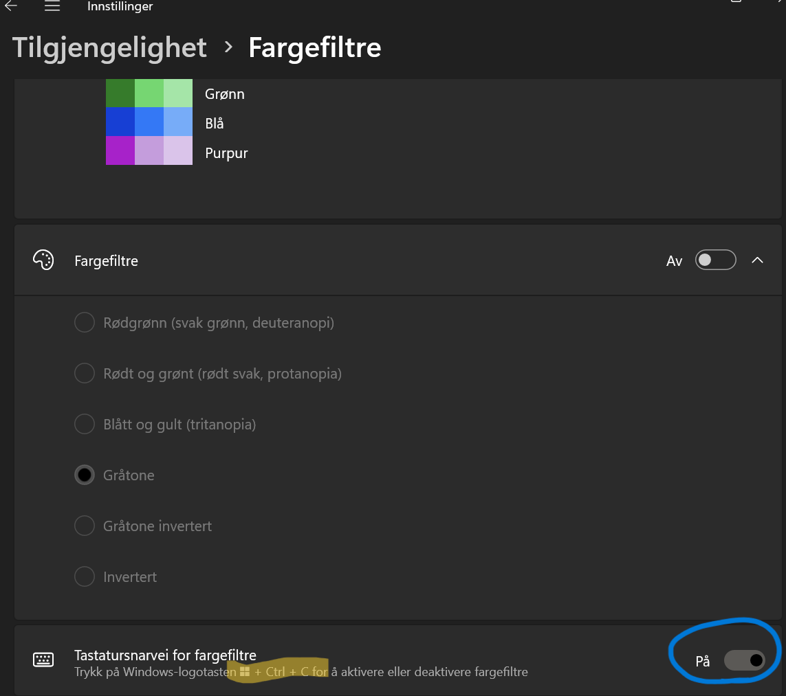 a grayscale option for the color wheel/slider | Rebelle I