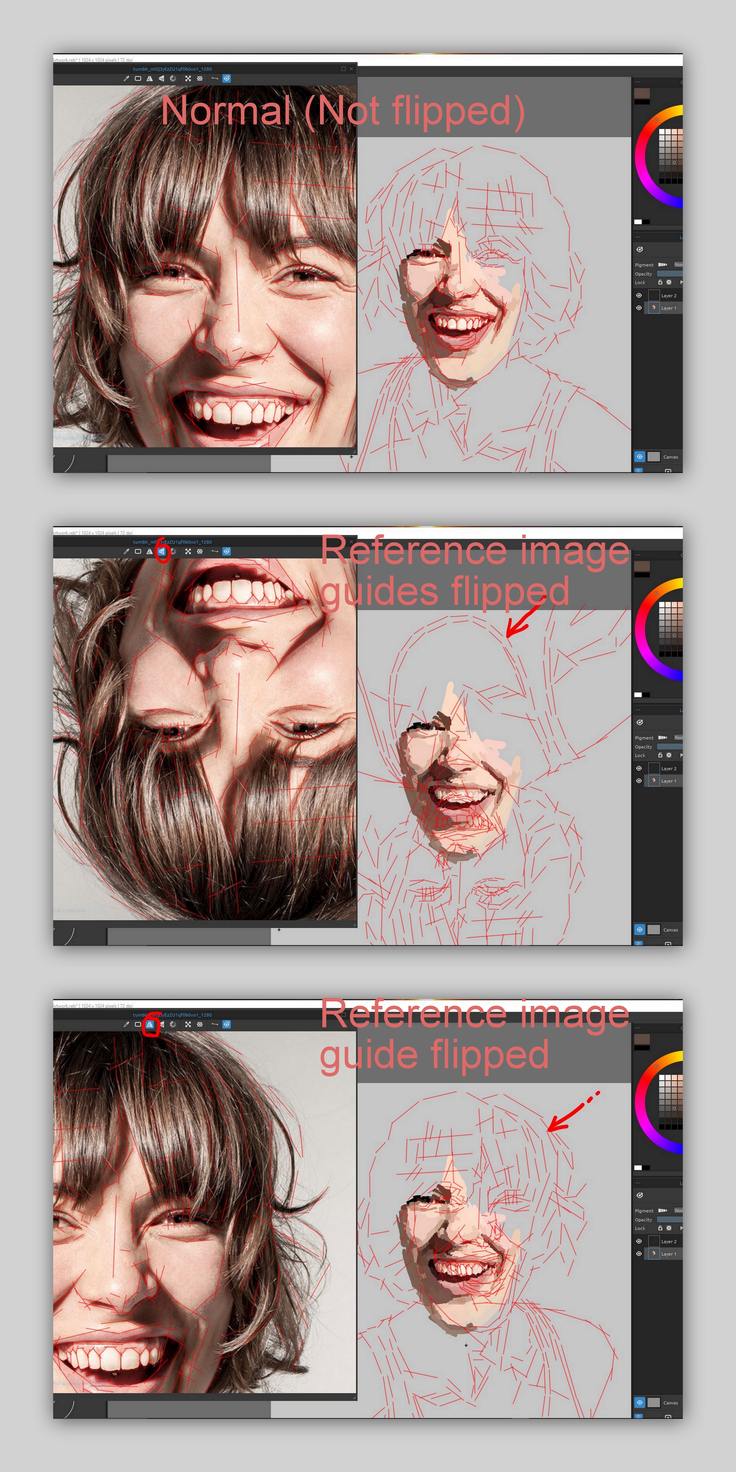 Reference image guides do not correspond to image on canv