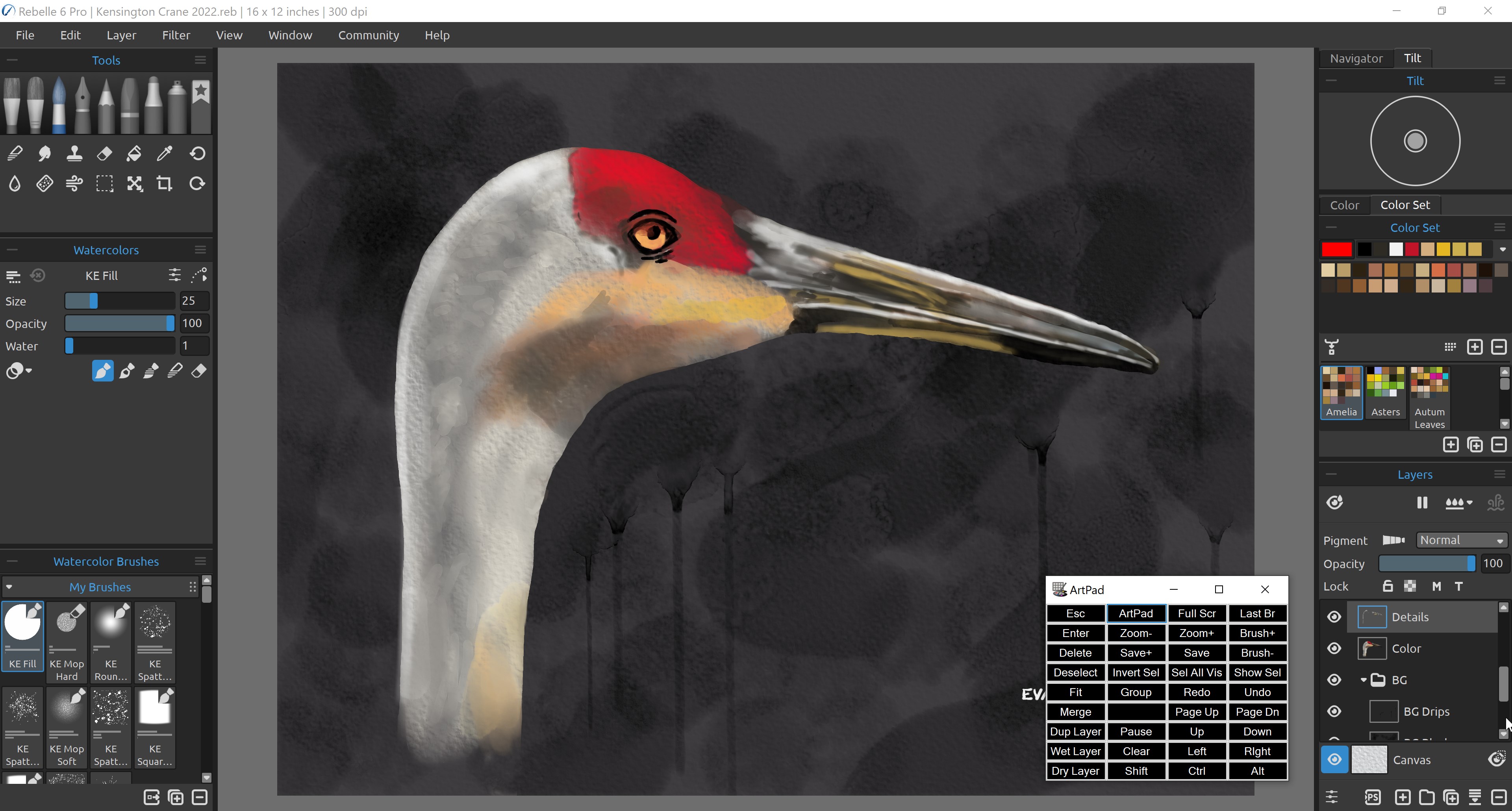 Two Applications for Rebelle Tablet Users | Rebelle Suppo