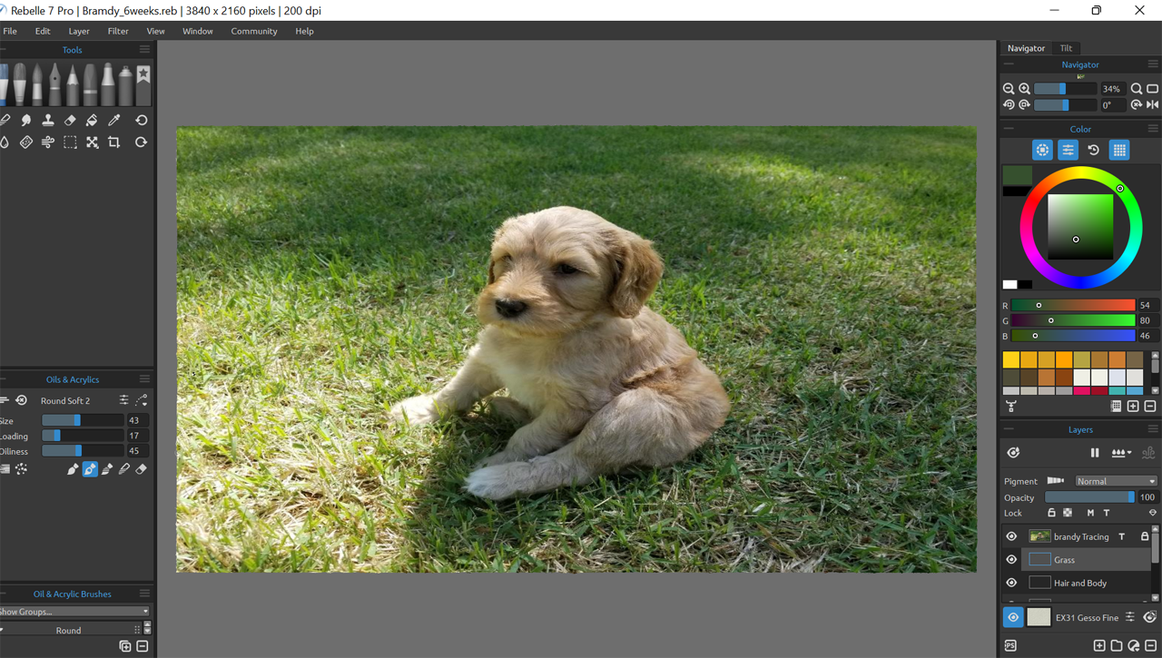 Tracing Layer And Especially Influenced Layer Has Issues