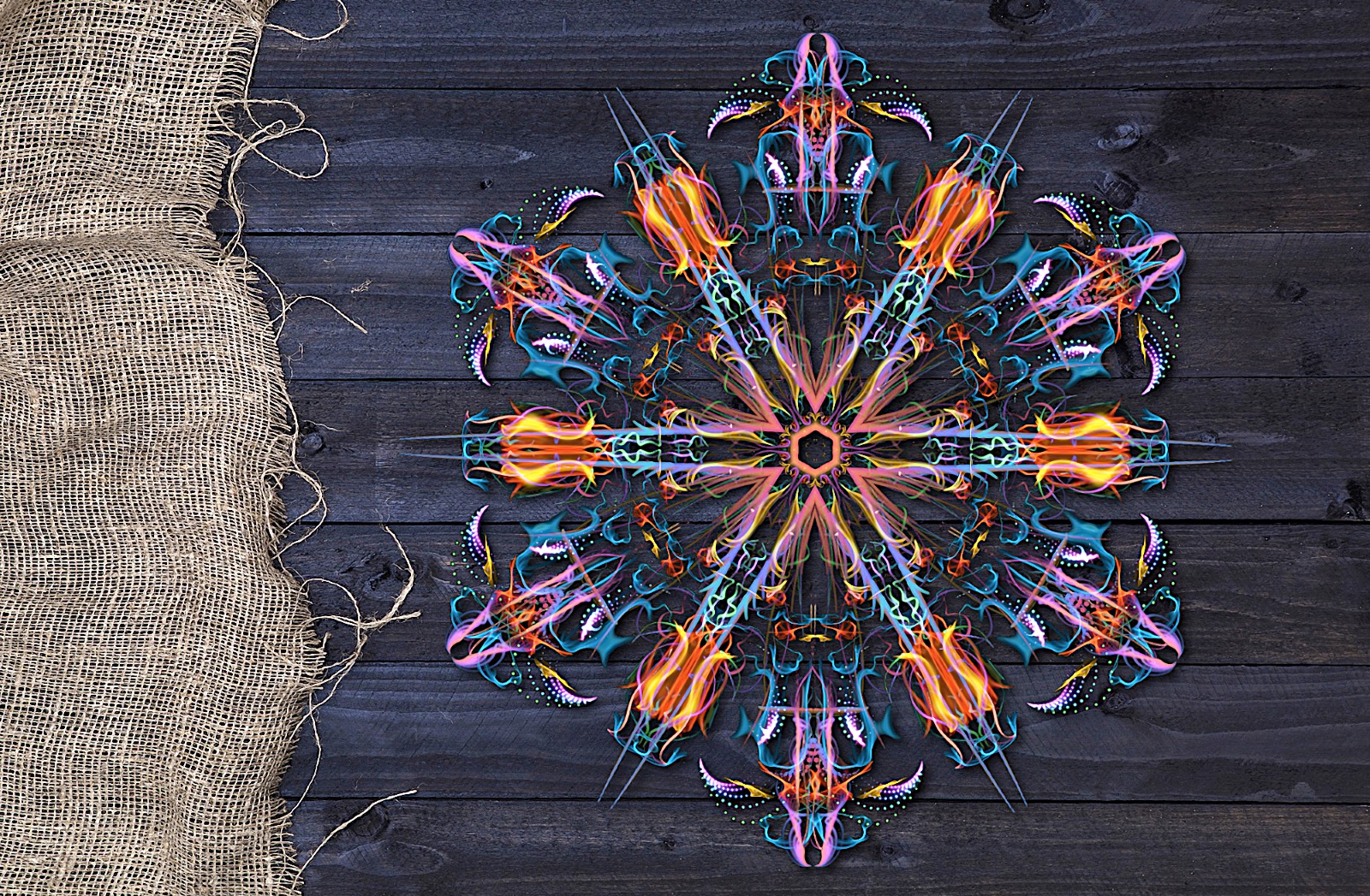 Announcing the Winners of 2018 Artwork Contest | Blog | E